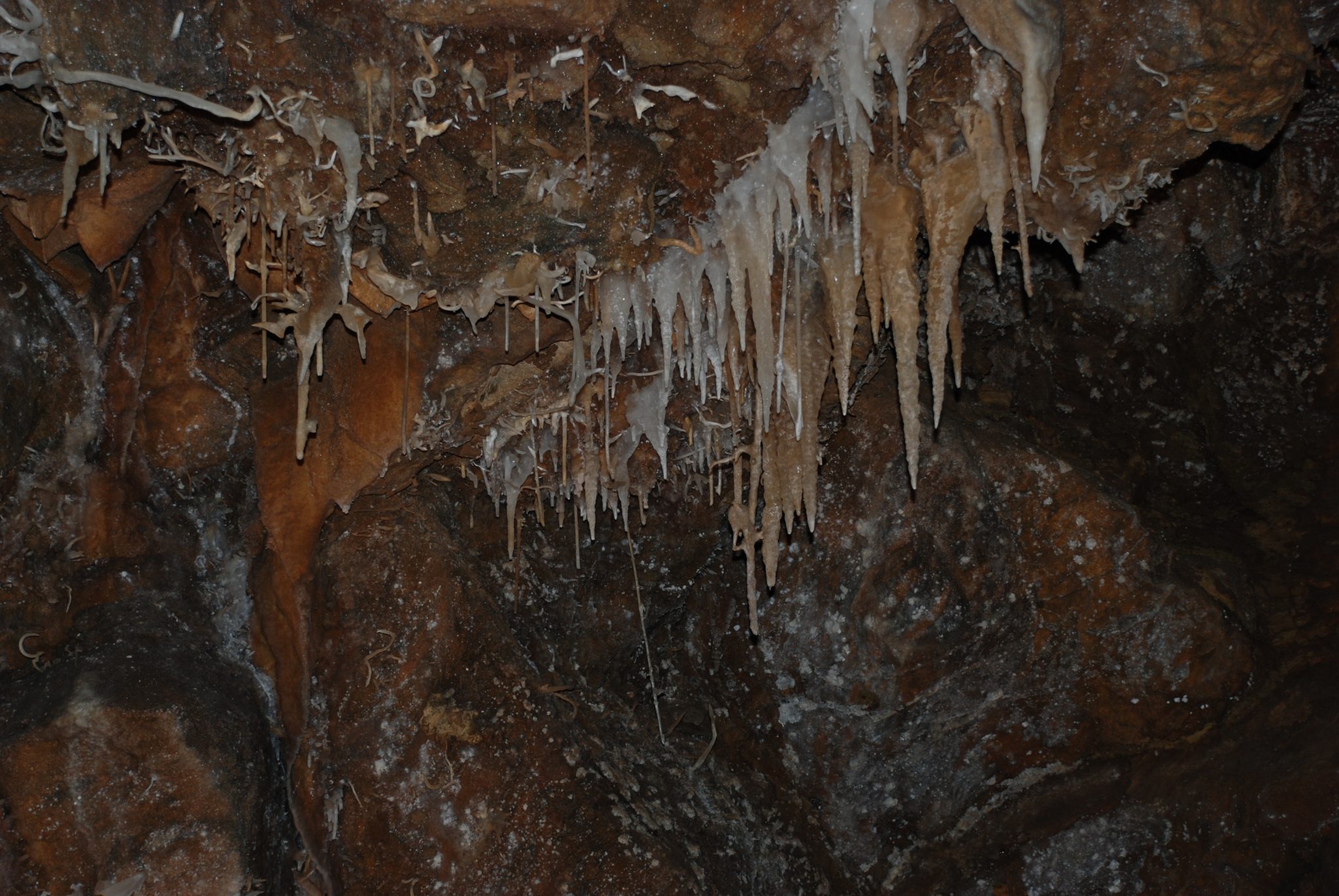2012 Black Chasm Cavern - BMW CCA Sierrra Chapter